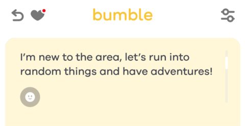 Worst Bumble Bios, About Me; Bumble Profile Examples